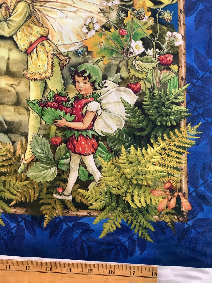 Flower Fairies of the Autumn by Cicely Mary Barker panel – Pat on the Back