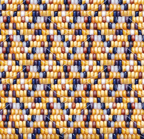 Native Corn Multi from Elizabeths Studio Tucson Collection – Pat on the ...